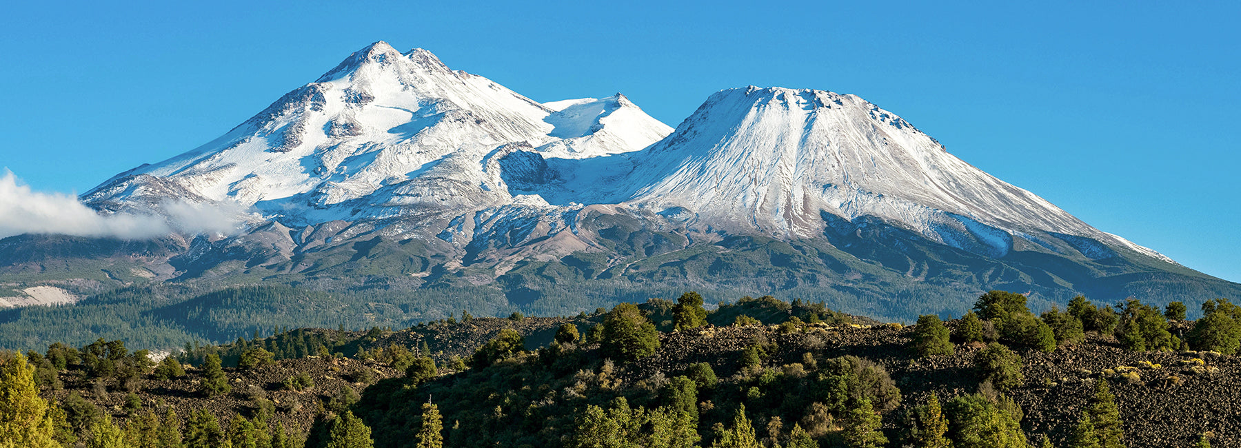 Four Peaks Medicinals